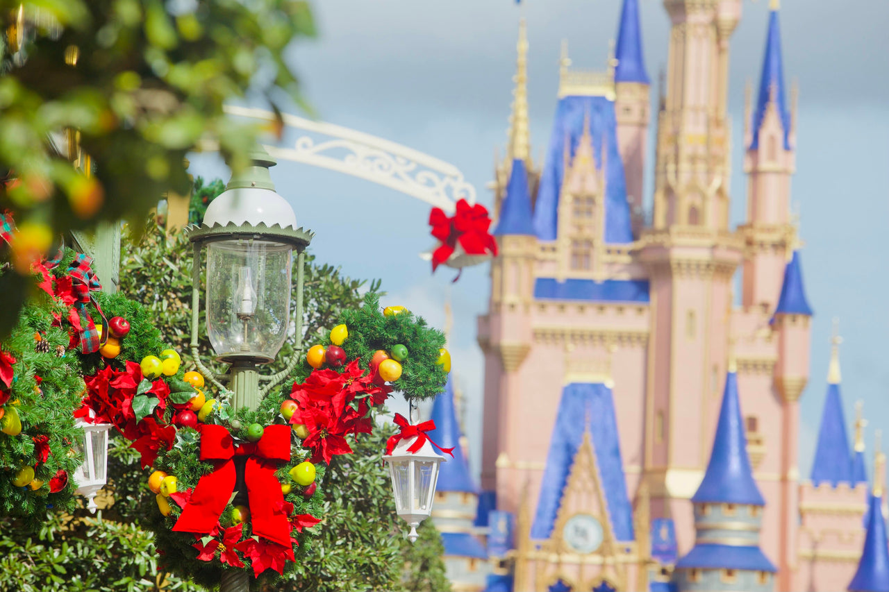 Collections – Mouse Marketplace