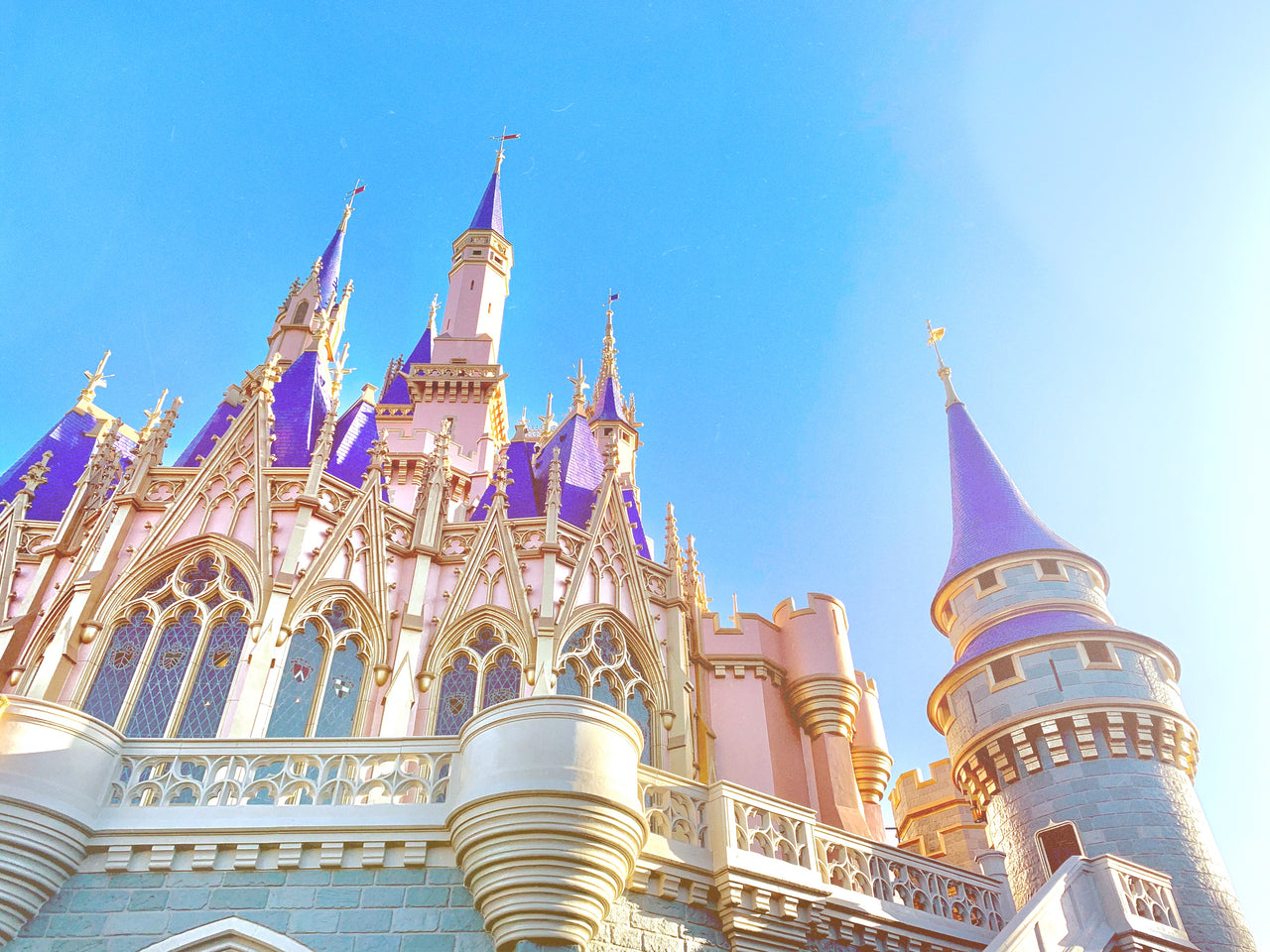 Collections – Mouse Marketplace